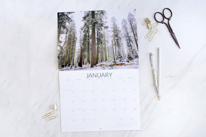 Gallery - Ogden Litho